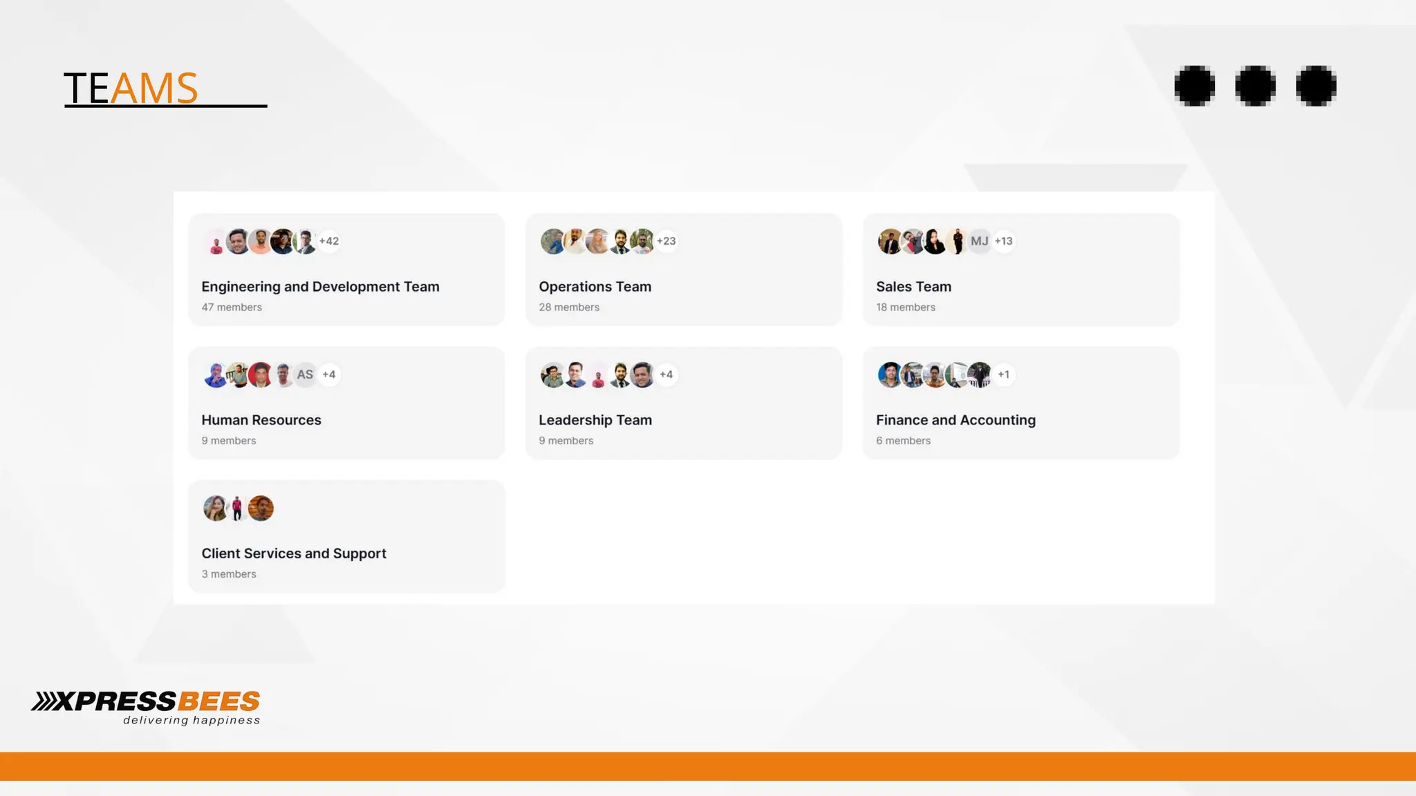 PPT_Xpressbees - a detailed presentation about expressbees | PPTX