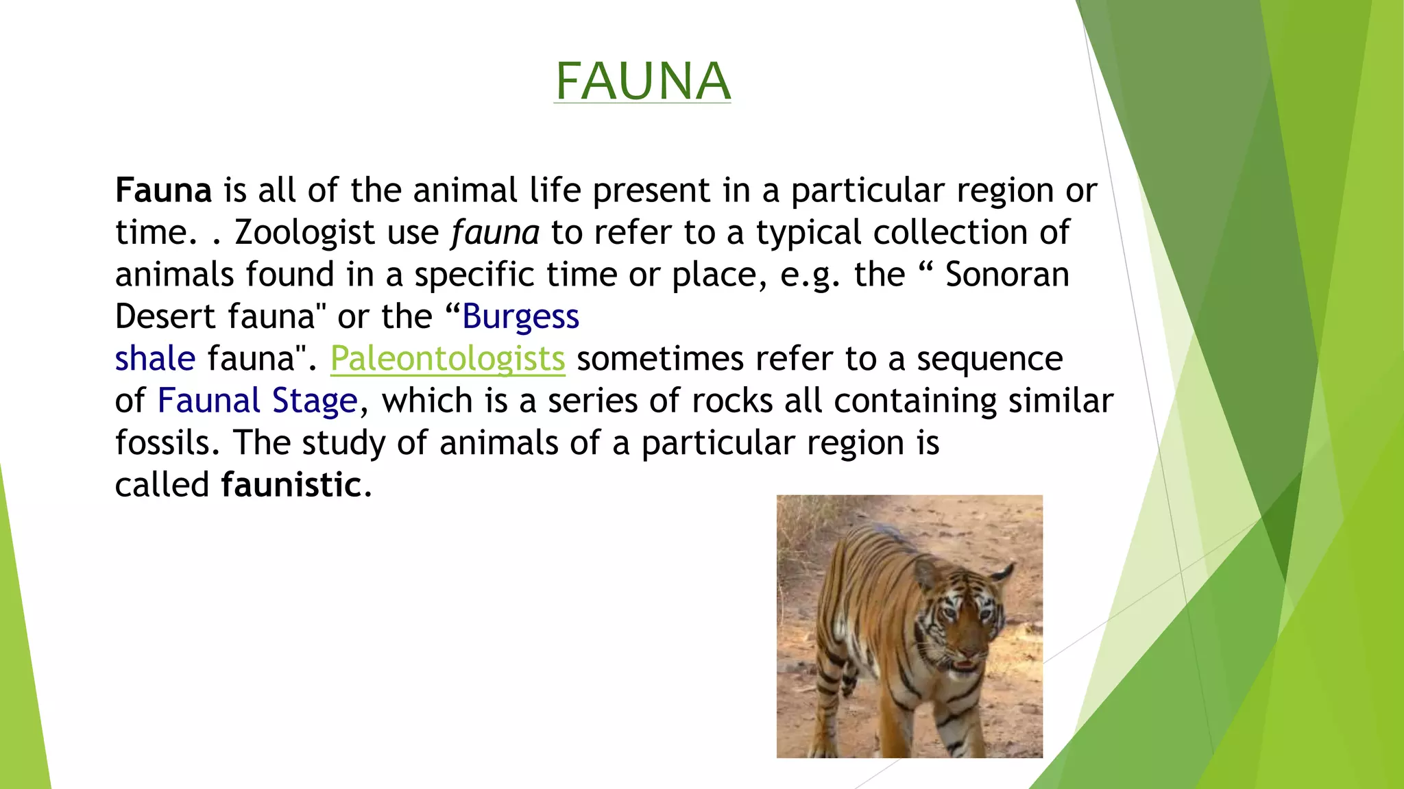 Ppt on Flora and Fauna of Haryana and Telangana | PPTX