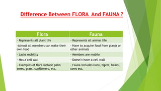 Ppt on Flora and Fauna of Haryana and Telangana | PPTX
