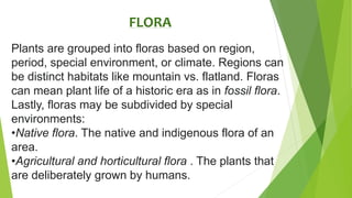 Ppt on Flora and Fauna of Haryana and Telangana | PPTX