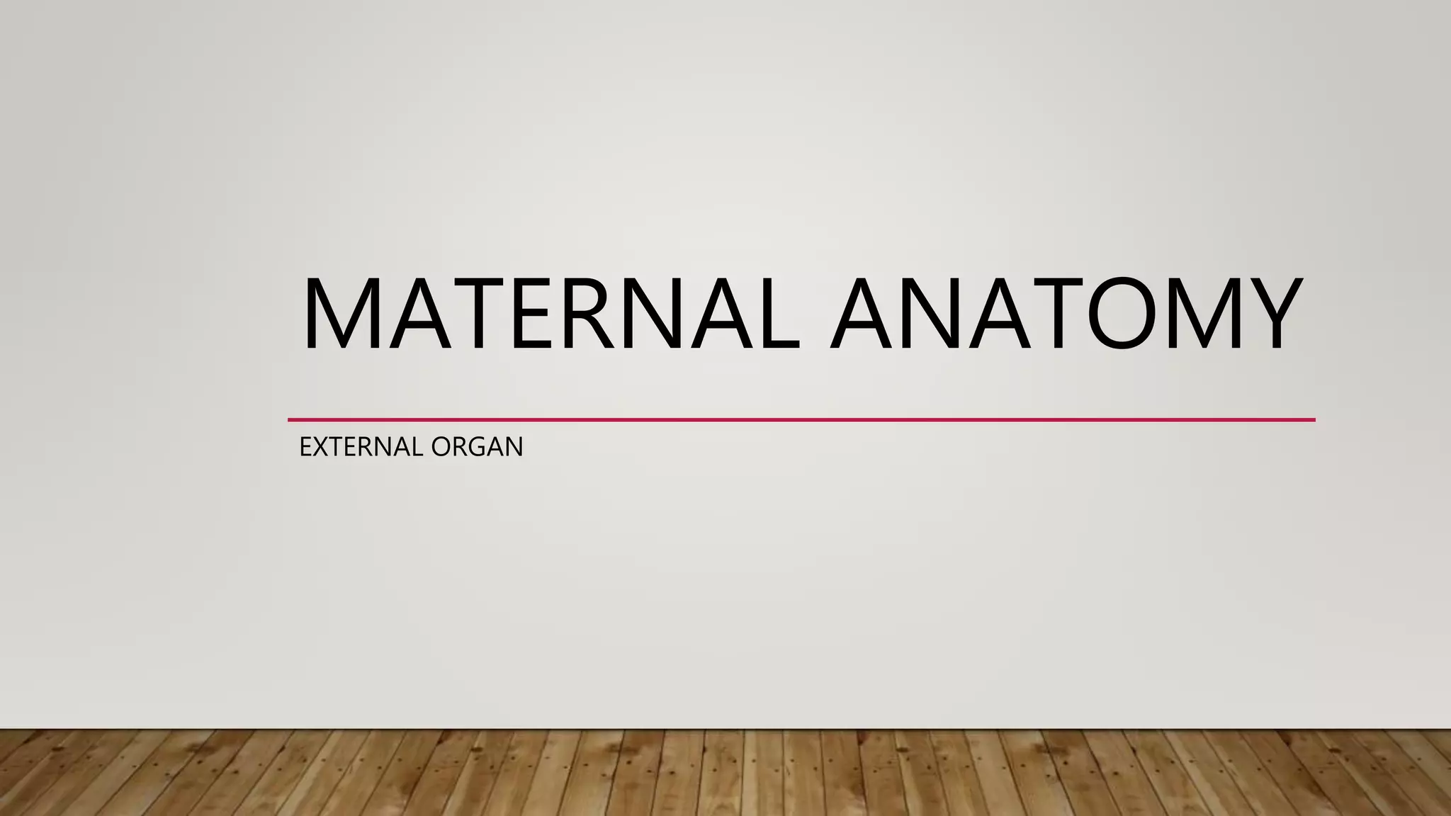 anatomy maternal | PPT
