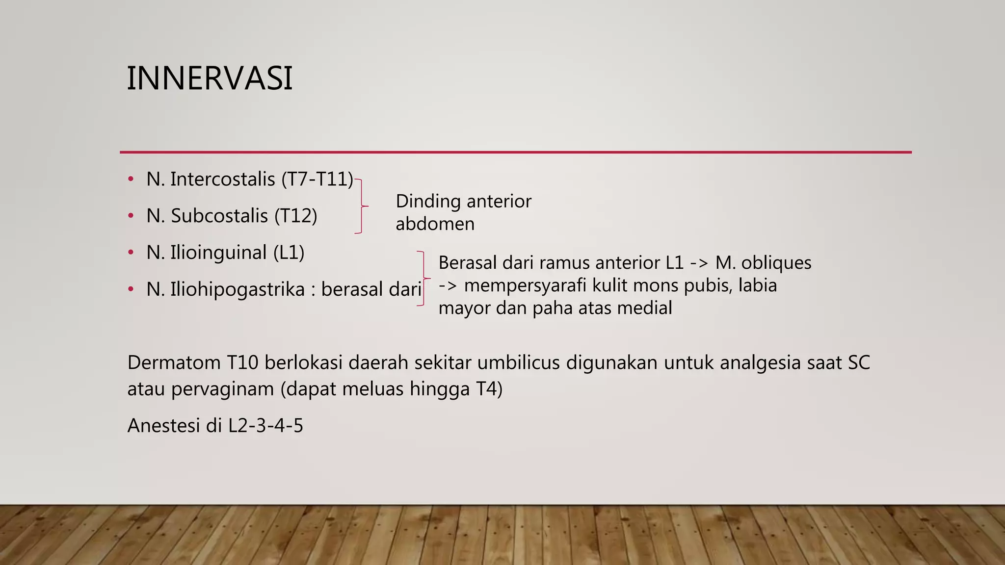 anatomy maternal | PPTX