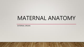 anatomy maternal | PPTX