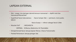anatomy maternal | PPTX