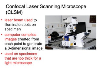 Types of Microscope | PPT