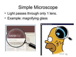 Types of Microscope | PPT