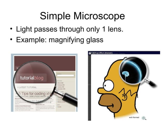Types of Microscope | PPT