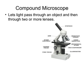 Types of Microscope | PPT