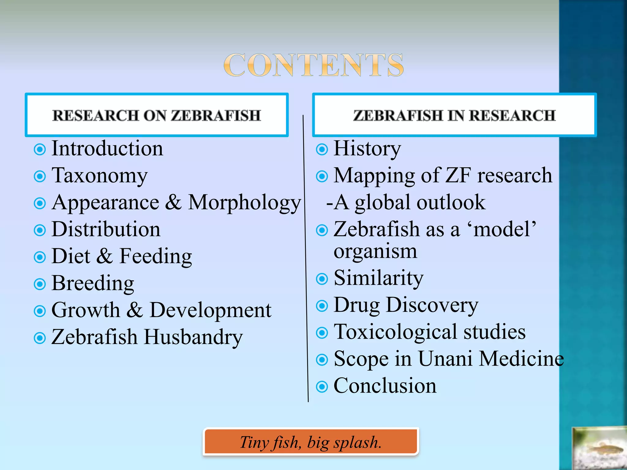 PPT ZF.pptx