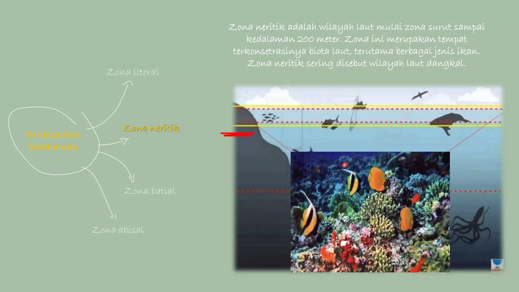 PPT Zonasi Laut KLP II.pptx