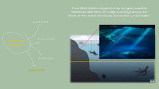 PPT Zonasi Laut KLP II.pptx