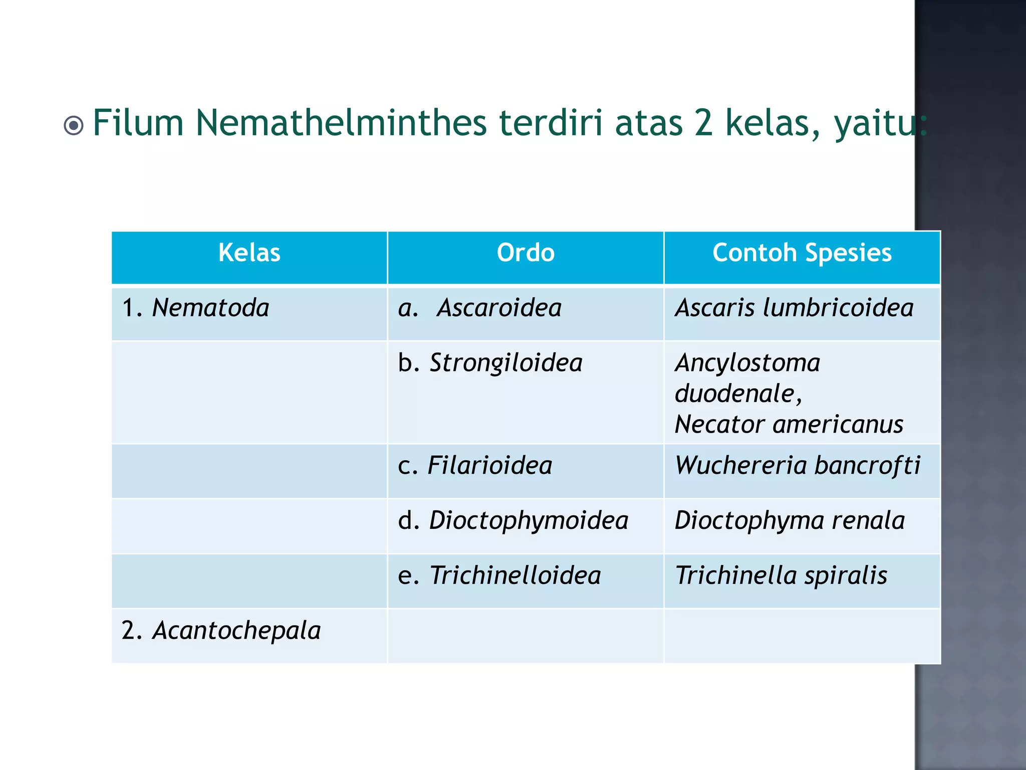 Power Point nemathelminthes | PPTX