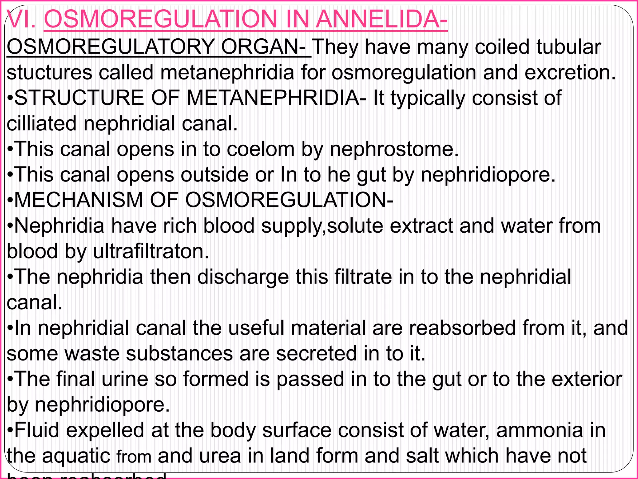 osmoregulation in invertebrates. | PPTX