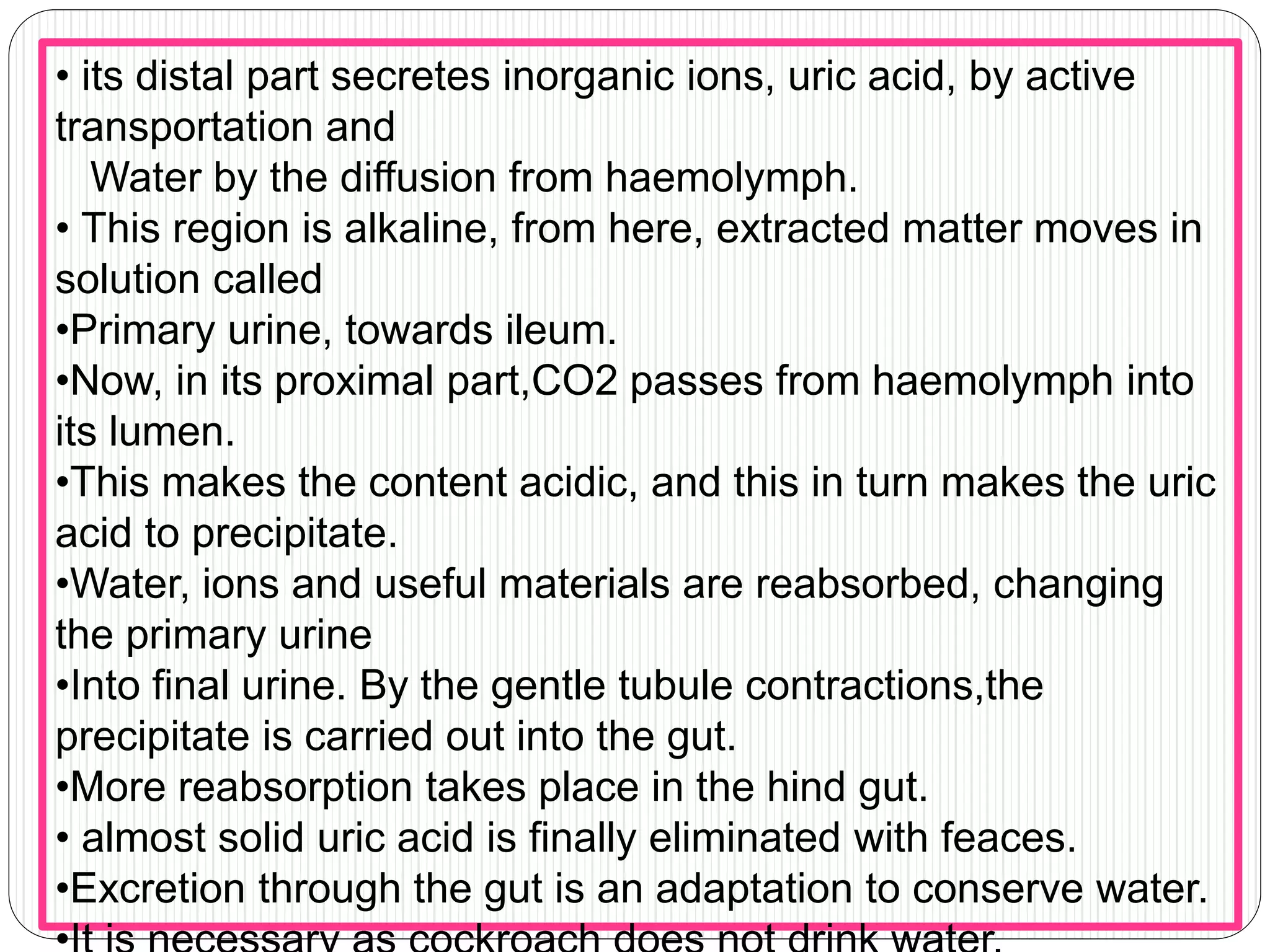 osmoregulation in invertebrates. | PPTX