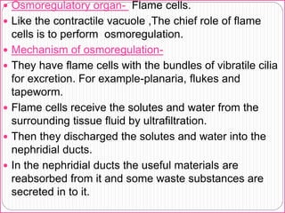 osmoregulation in invertebrates. | PPTX