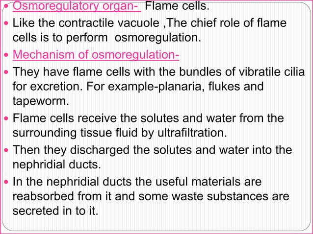 osmoregulation in invertebrates. | PPTX | Biological Sciences | Science