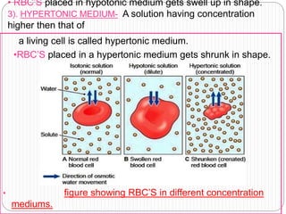 osmoregulation in invertebrates. | PPTX