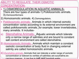 osmoregulation in invertebrates. | PPTX