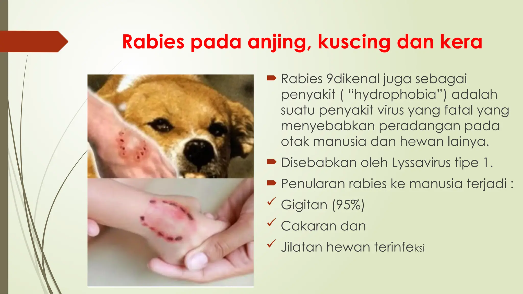 MENGENAL ZOONOSIS PADA HEWAN PELIHARAAN .pptx