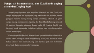 PRAKTIKUM EPIDEMIOLOGI ZOONOTIK PADA LAB.KESMAVET (Uji Salmonella sp ...