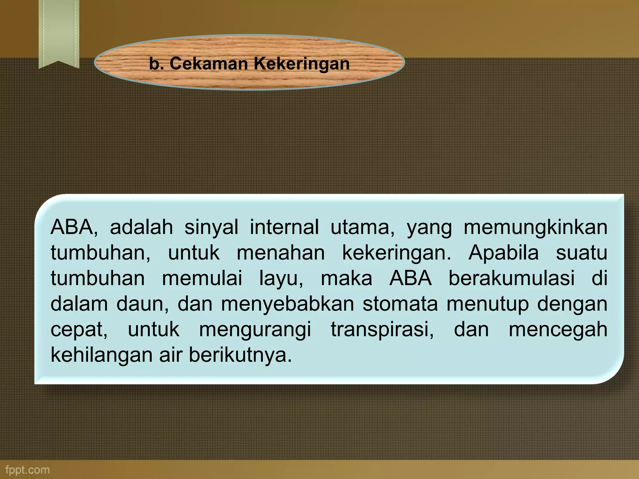 Ppt zpt revisi | PPT