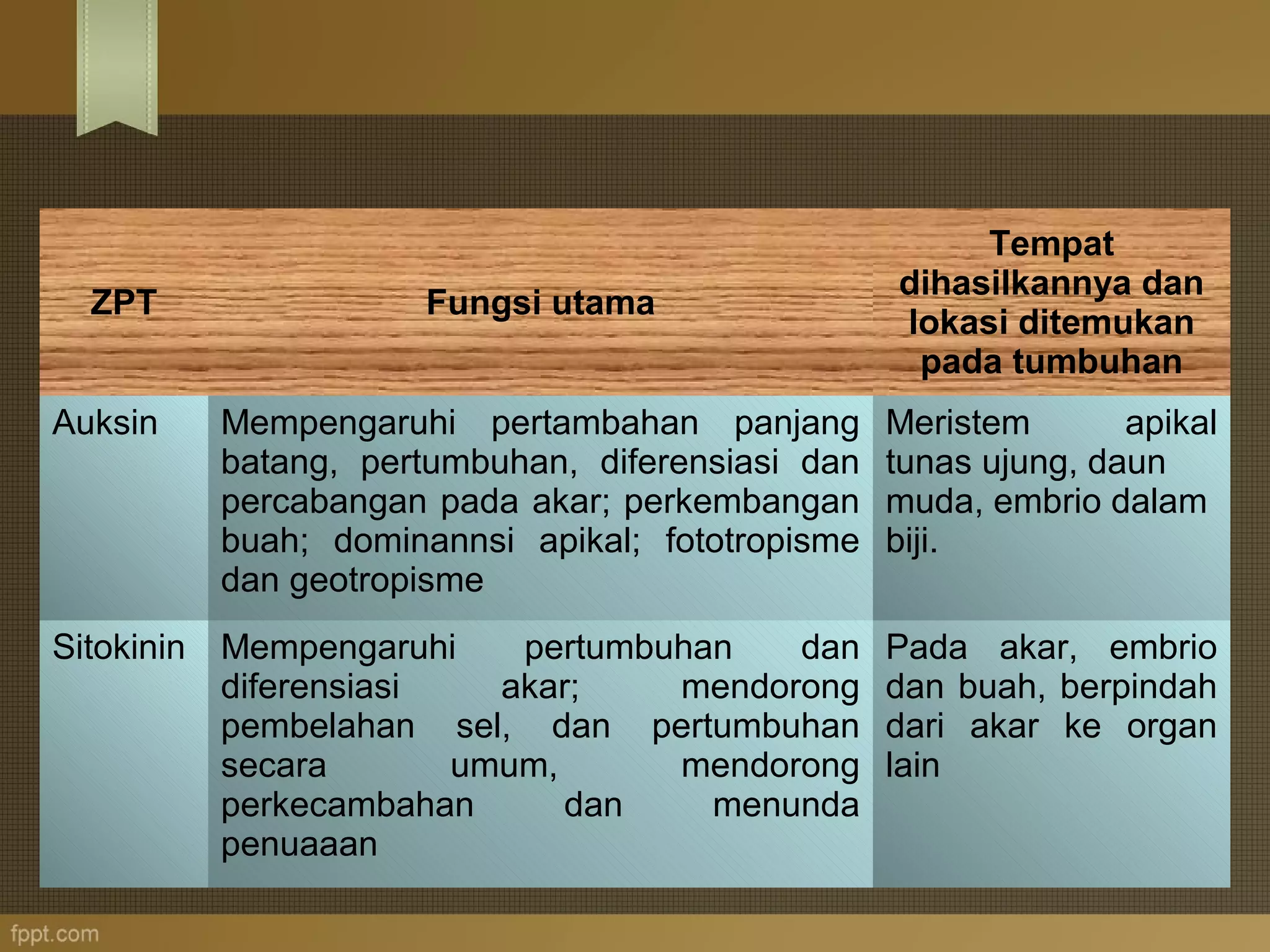 Ppt zpt revisi | PPT