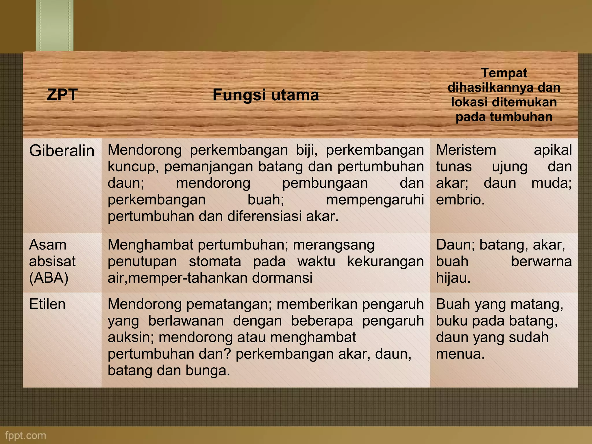 Ppt zpt revisi | PPT