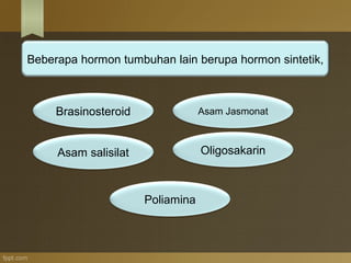 Ppt zpt revisi | PPT