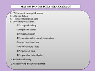 PENGGUNAAN SALEP DAUN MIANA (Coleus scutellarioides [L] Benth) UNTUK ...