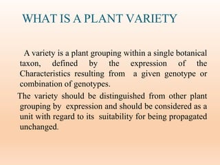 ppvfra-150613132738-lva1-app6891 (1).pptx