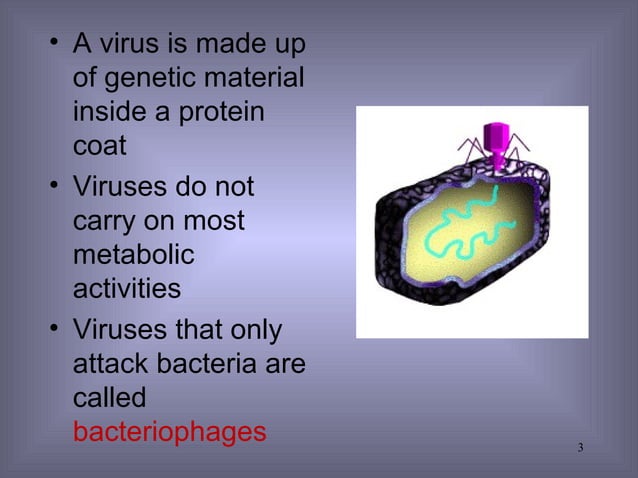 Viruses | PPT