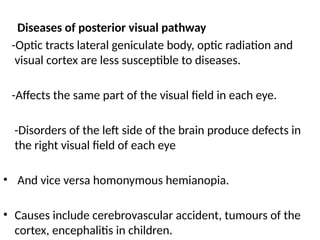 Pp visual pathway topic of the eye and vision | PPTX