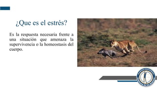 Ppw el estres en animales | PPTX