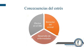 Ppw el estres en animales | PPTX