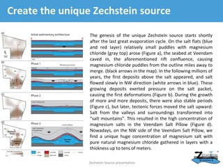 Zechstein Minerals Source Presentation 2017 | PDF