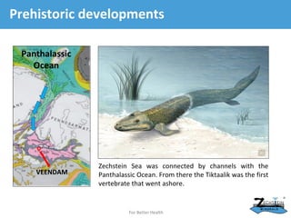 Zechstein Minerals Source Presentation 2017 | PDF
