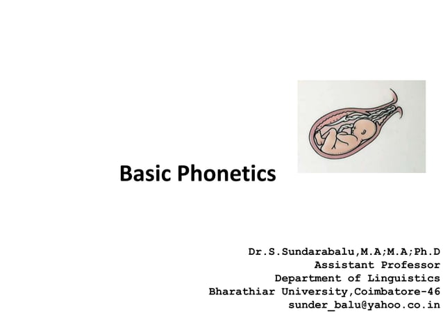 Basic phonetics | PPT