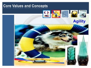 Pqa core values concepts and framework | PPTX