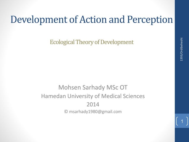 Development of action and perception | PPT