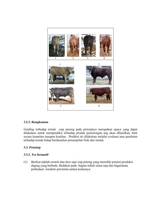 Grading Ternak Siap Potong Part.2 | PDF