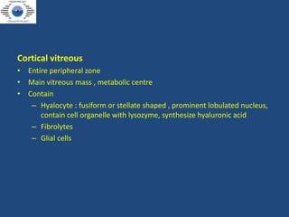 vitreous_anatomy__AND_SUBSTITUTE presentation dhir hospital bhiwani.pptx