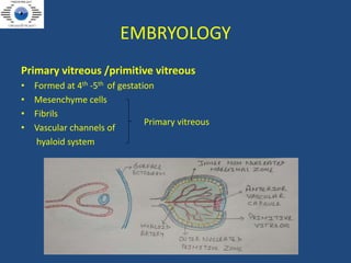 vitreous_anatomy__AND_SUBSTITUTE presentation dhir hospital bhiwani.pptx