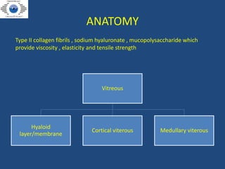 vitreous_anatomy__AND_SUBSTITUTE presentation dhir hospital bhiwani.pptx
