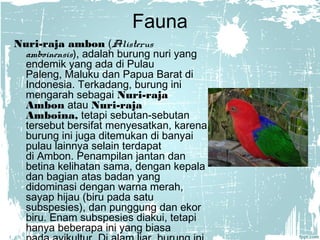 Provinsi Sumatera Utara dan Maluku | PPT