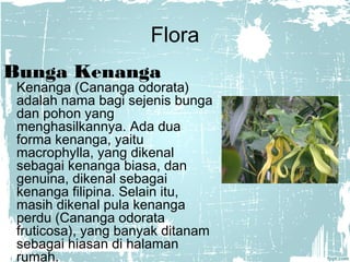 Provinsi Sumatera Utara dan Maluku | PPT