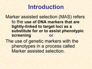 marker assisted selection | PPT | Genetics | Science