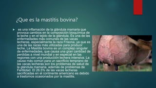 La Mastítis bovina | PPTX