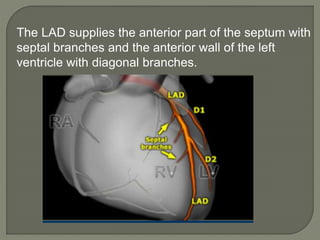 CT Coronary angiography | PPTX