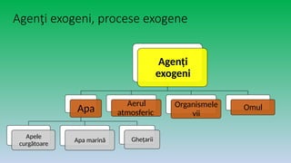 procese exogene.prezentare power pointtt | PPTX