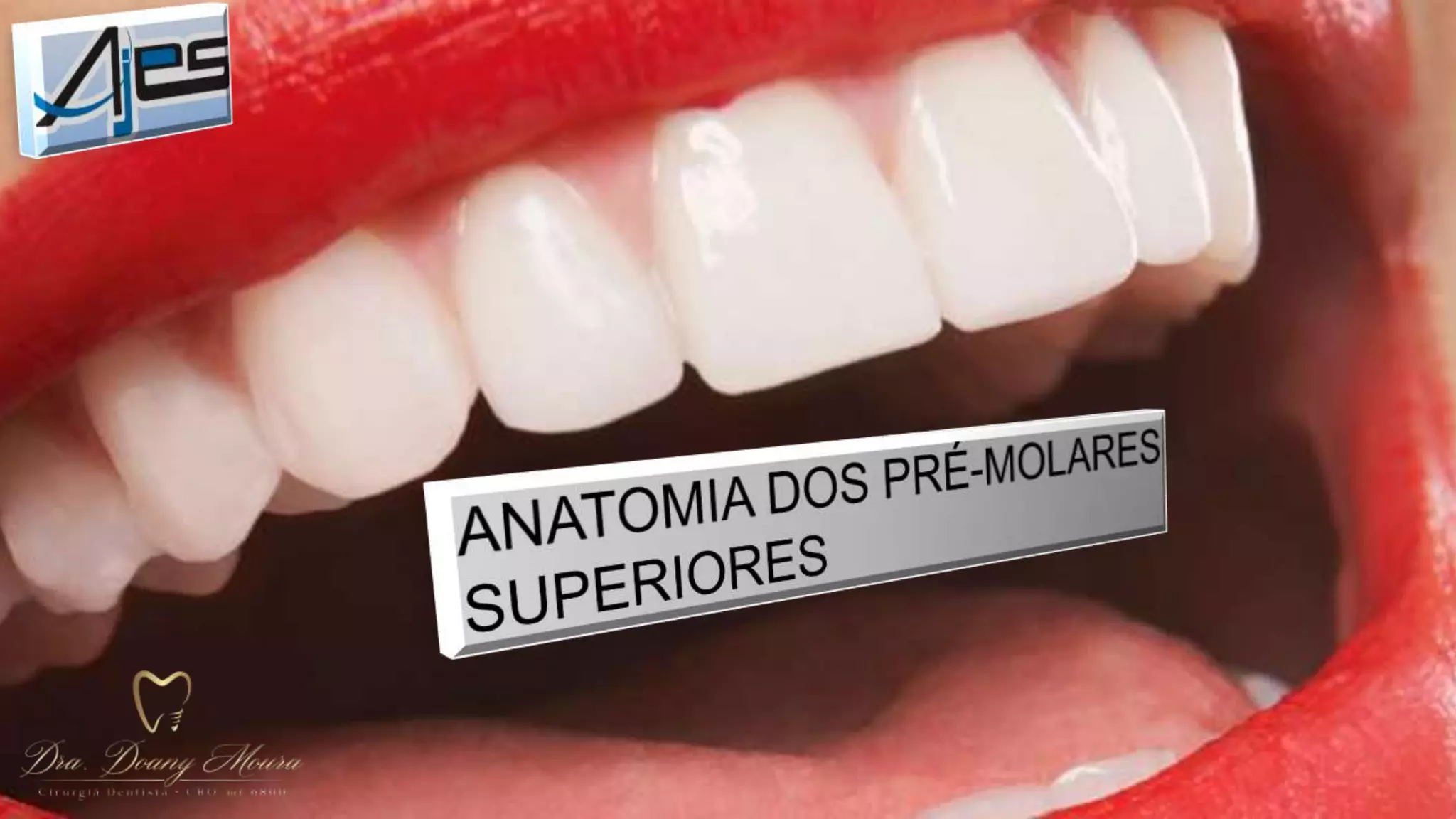 pré-molar [Salvo automaticamente].pptx